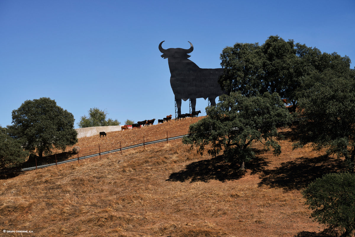 Valla del Toro Santa Elena - Jaén – Toro de Osborne